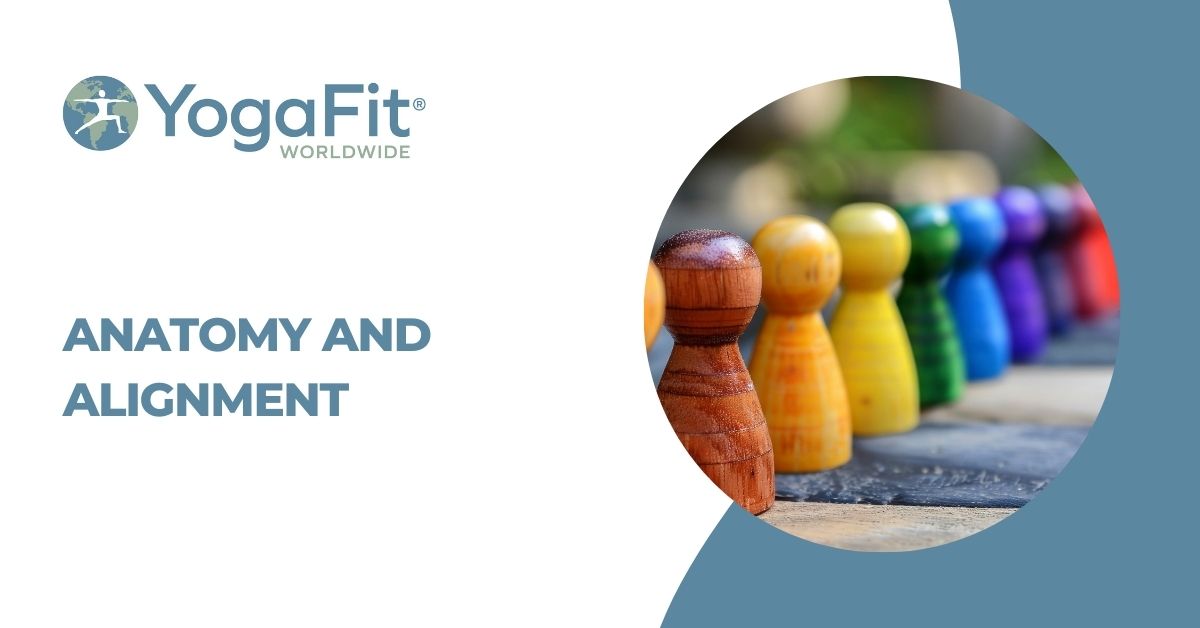 Yoga Anatomy & Alignment Training | 2-Day YogaFit Workshop