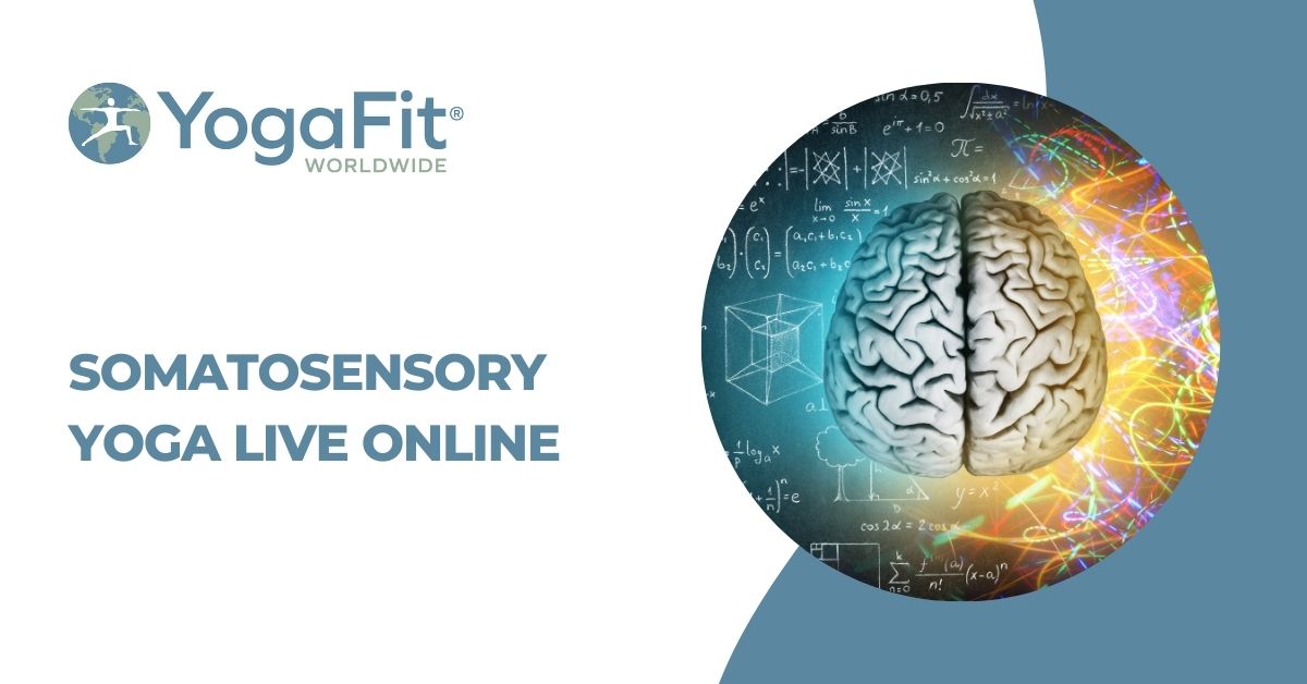 Somatosensory Yoga 1 LIVE Online Training | Mind-Body Healing Workshop